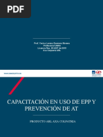 Capacitacion Uso y Mantenimiento de Epp | PDF | Materiales | Naturaleza