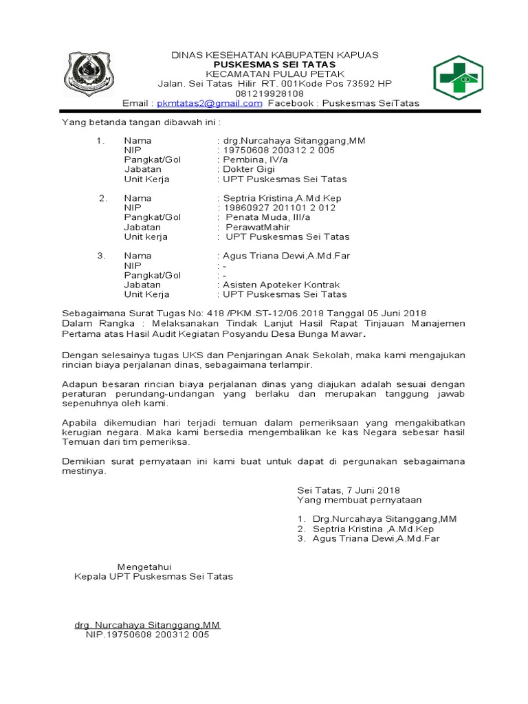 Surat Pernyataan SPJ RTM | PDF