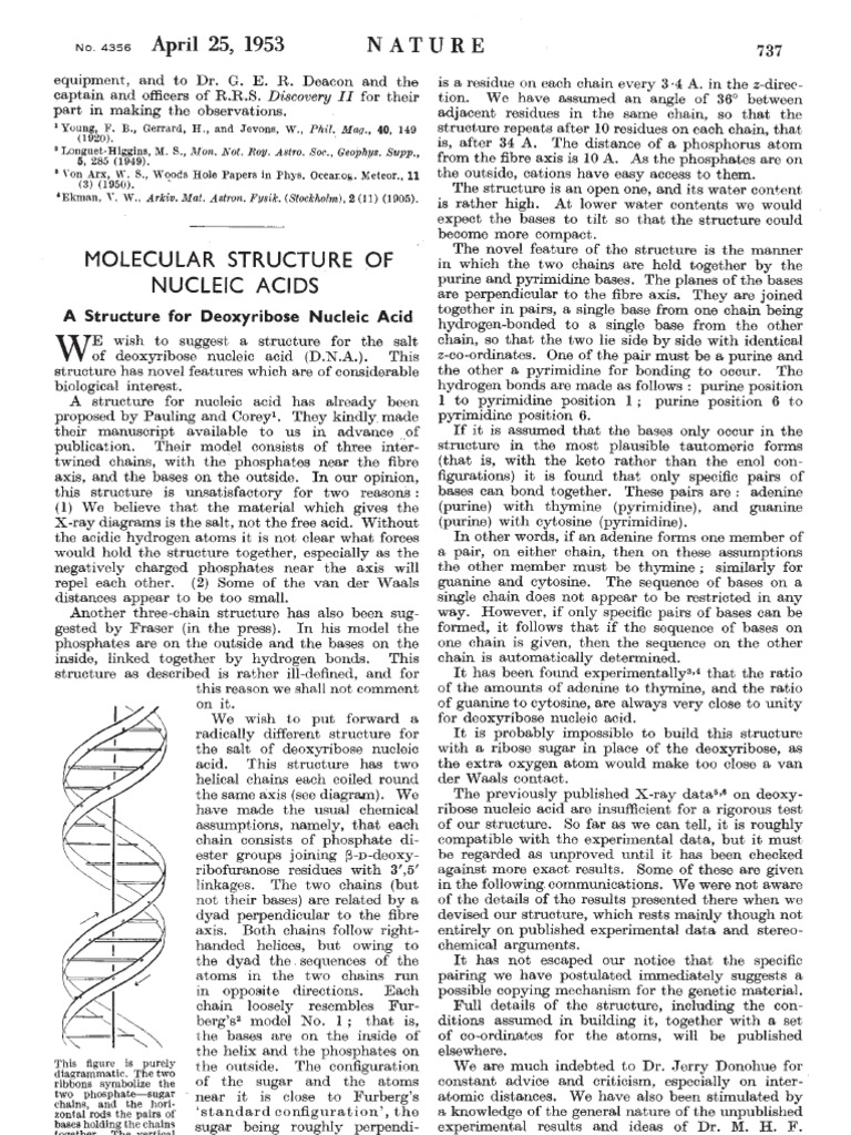 Nature 1953 Watson Crick Article | PDF