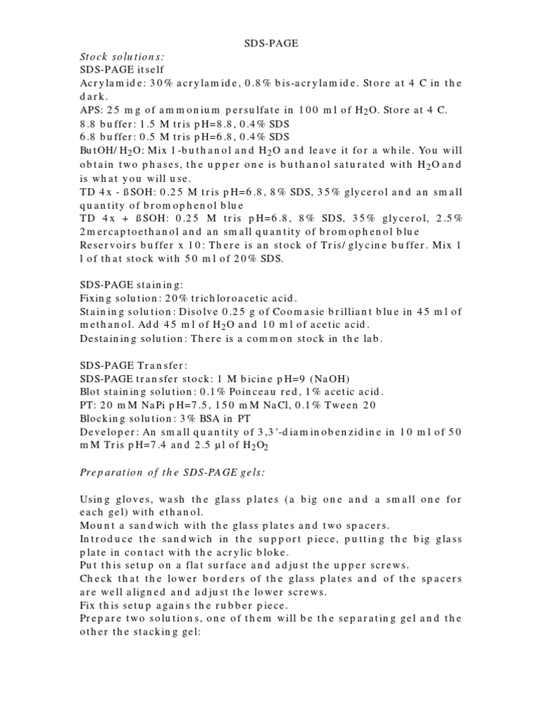 Western Blot | PDF | Science & Mathematics