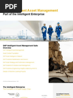 SAP Linear Asset Management Overview | PDF | Computer Network | Linearity