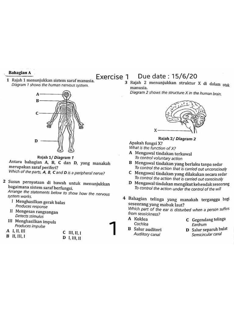 Form 3 Science Revision, Week 2, June 2020 | PDF