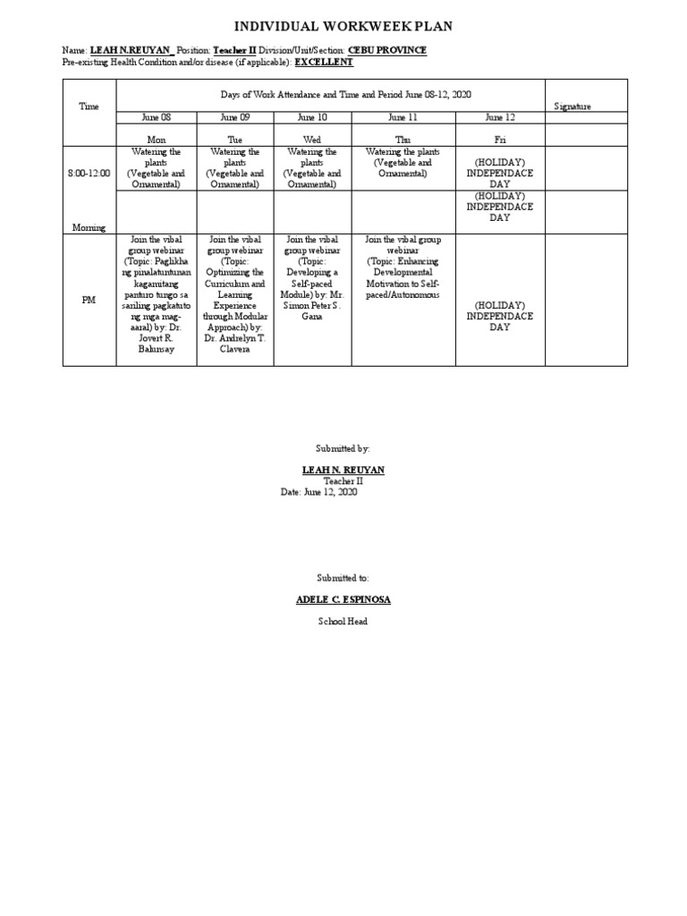 Individual Workweek Plan for Teachers | PDF | Education Theory | Teaching