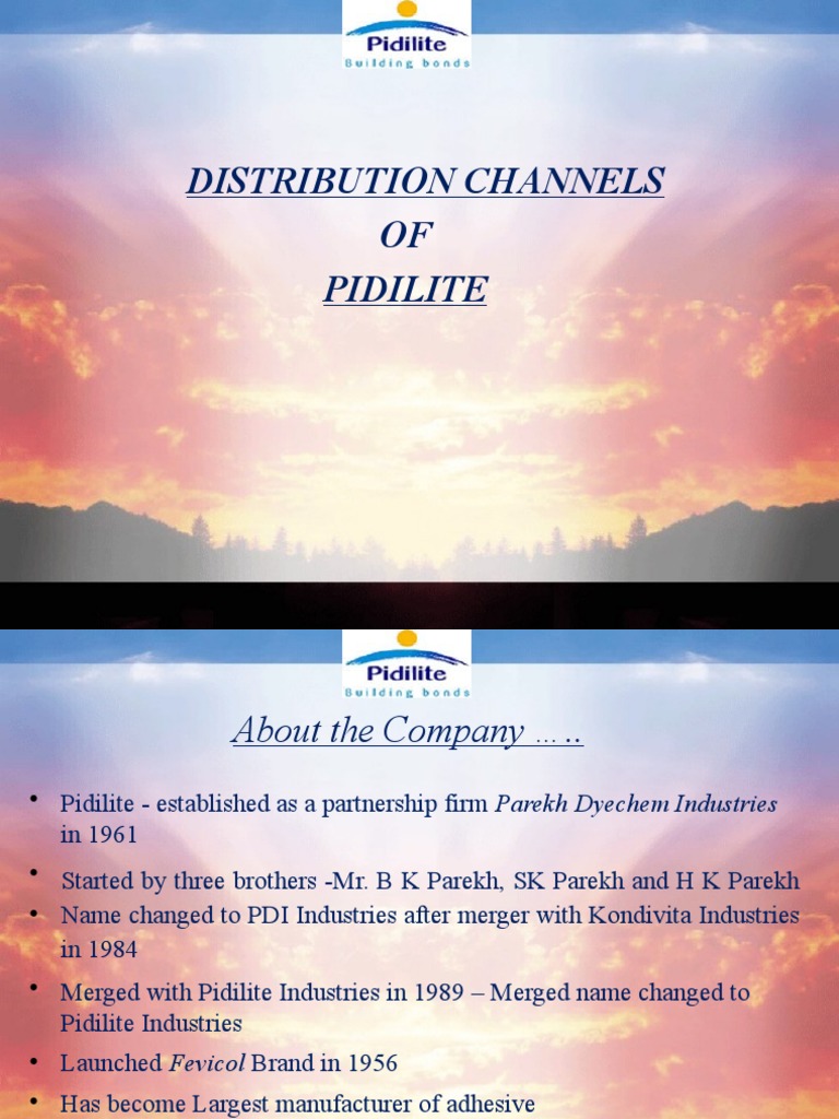 Distribution Channels OF Pidilite | PDF | Retail | Brand