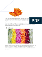 Handout Materi Garnish | PDF