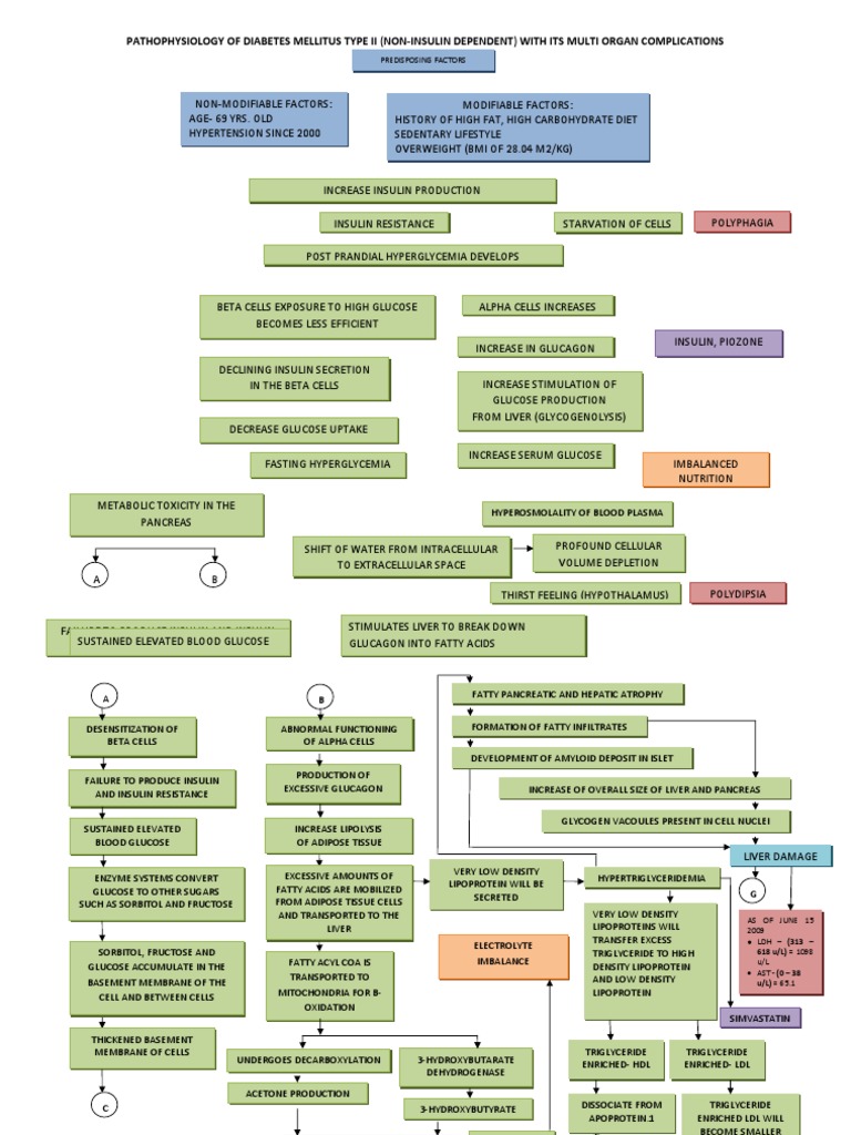 Pathophysiology of Diabetes Mellitus Type Ii With Complications ...