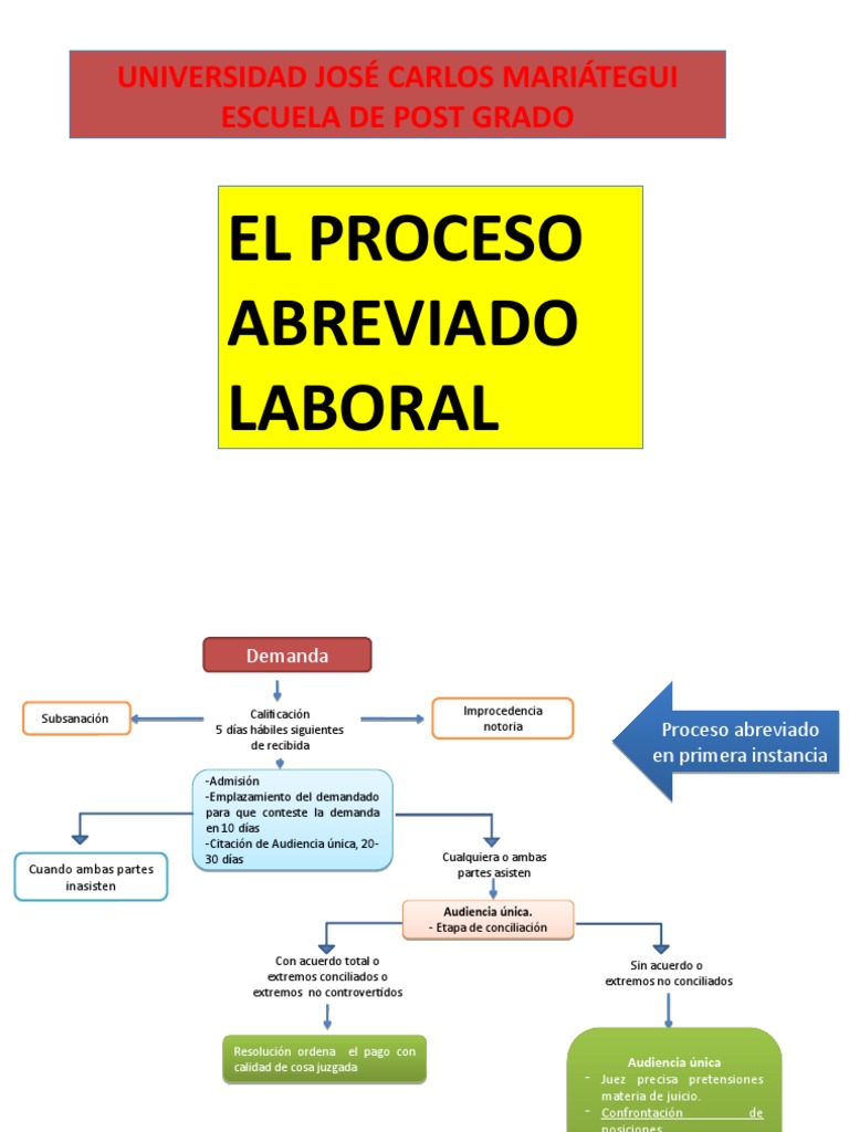 Proceso Abreviado Laboral | PDF | Demanda judicial | Sentencia (ley)