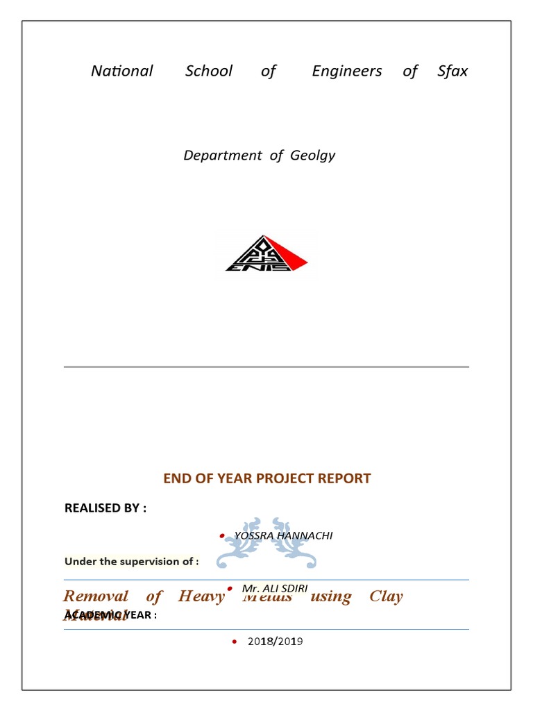 Pfa Report | PDF | Adsorption | Minerals