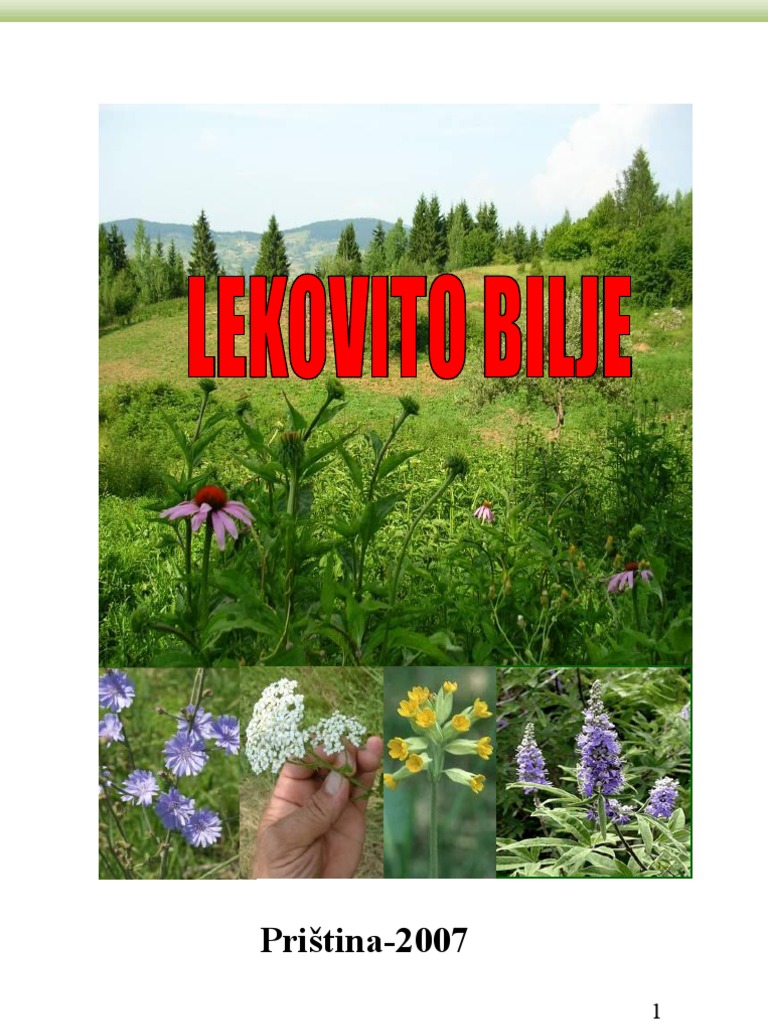 Medical Herbs Ser | PDF