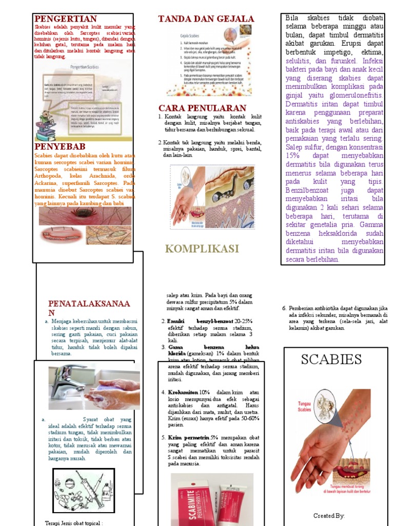 Leaflet Scabies | PDF