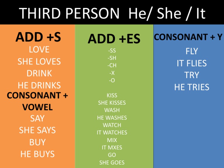 Add +S Add +es: Third Person He/ She / It | PDF