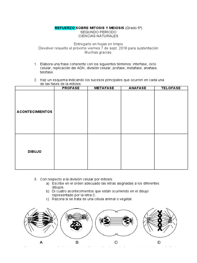 Refuerzo Ciencias Naturales Grado 6 | PDF