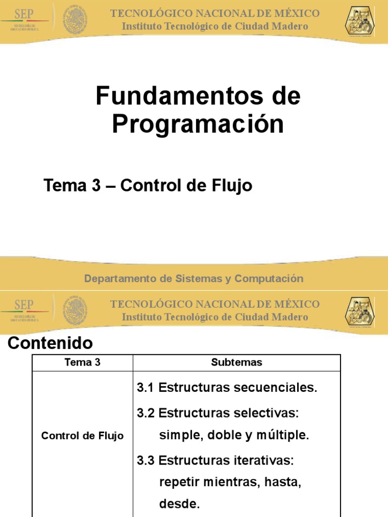 Control de Flujo en Programación | PDF | Algoritmos | Programa de ...