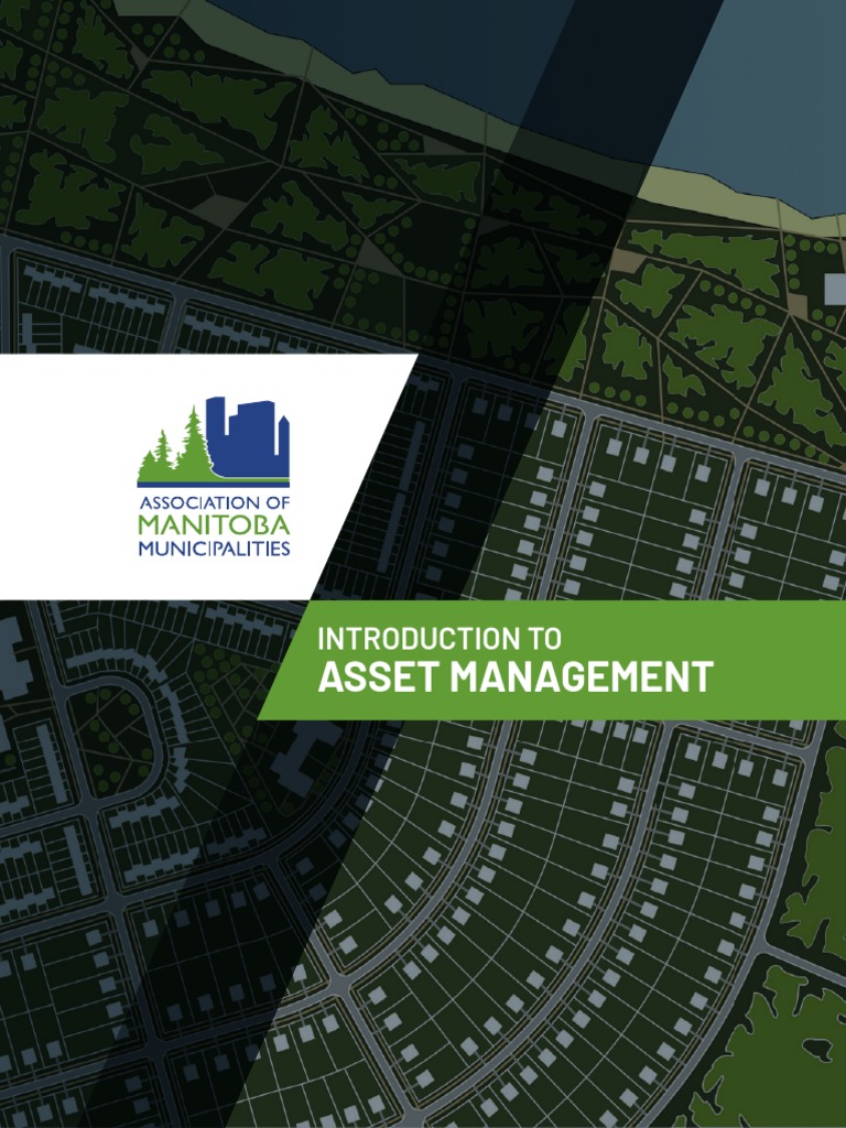 AMM Asset Management Guide | Download Free PDF | Asset Management ...
