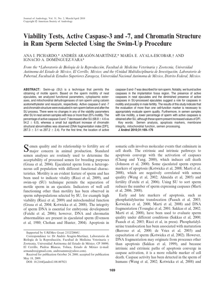 Pichardo Et Al. 2010 Viability Tests Active Caspase 3 and 7 and ...
