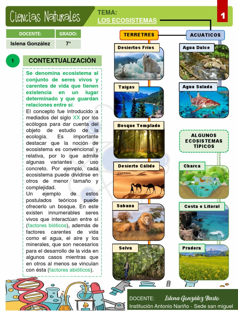 Taller Ciencias Naturales - Grado 7º - Los Ecositemas | PDF ...