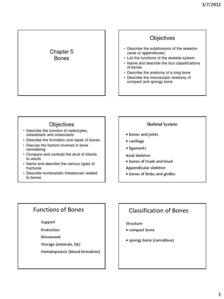 Objectives: Functions of Bones Classification of Bones | PDF | Bone | Osteoblast