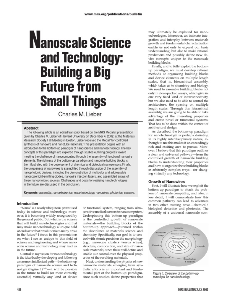 Bottom-Up Nanotechnology: Nanowires | PDF | Nanowire | Nanotechnology