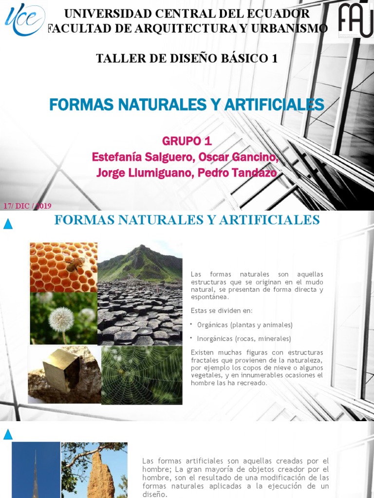 8 Formas Naturales y Artificiales | PDF | Naturaleza | Science