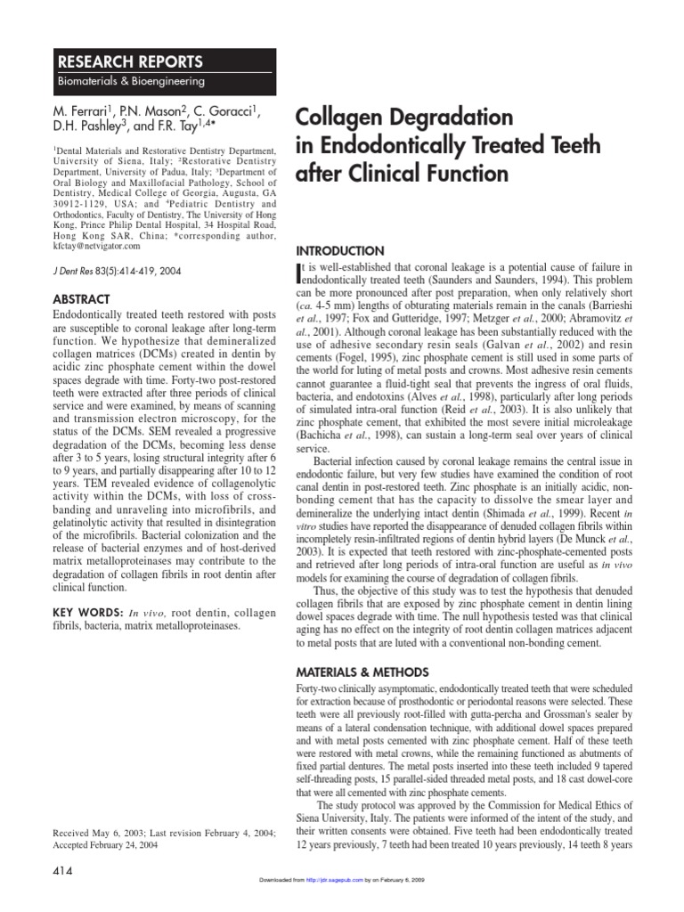 An Examination of Collagen Degradation in the Root Dentin of ...