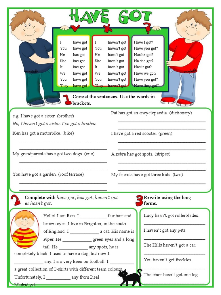 Have Got - Exercises 2 | PDF | Business