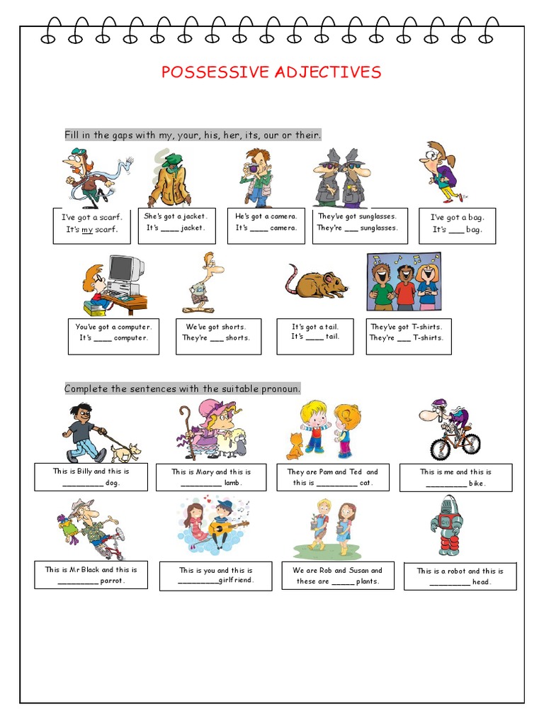 Possessive-Adjectives - Exercises | PDF