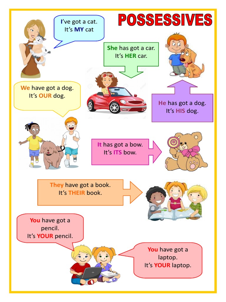 Possessive Pronouns and Pets | PDF