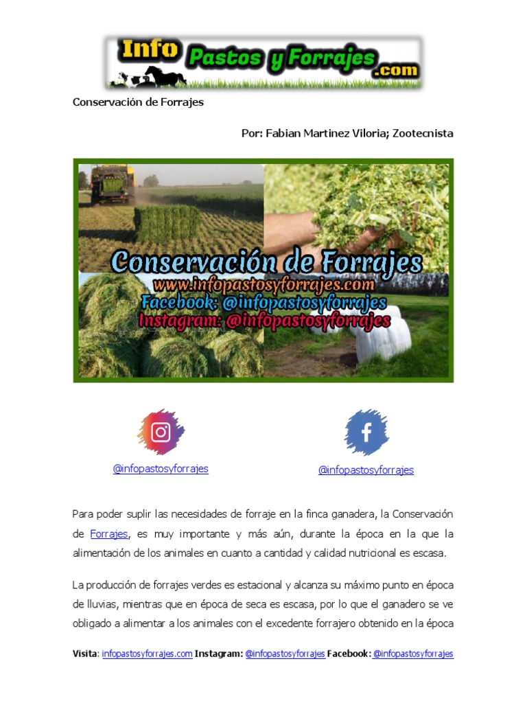 Conservación de Forrajes | PDF | Comida y bebida | Naturaleza