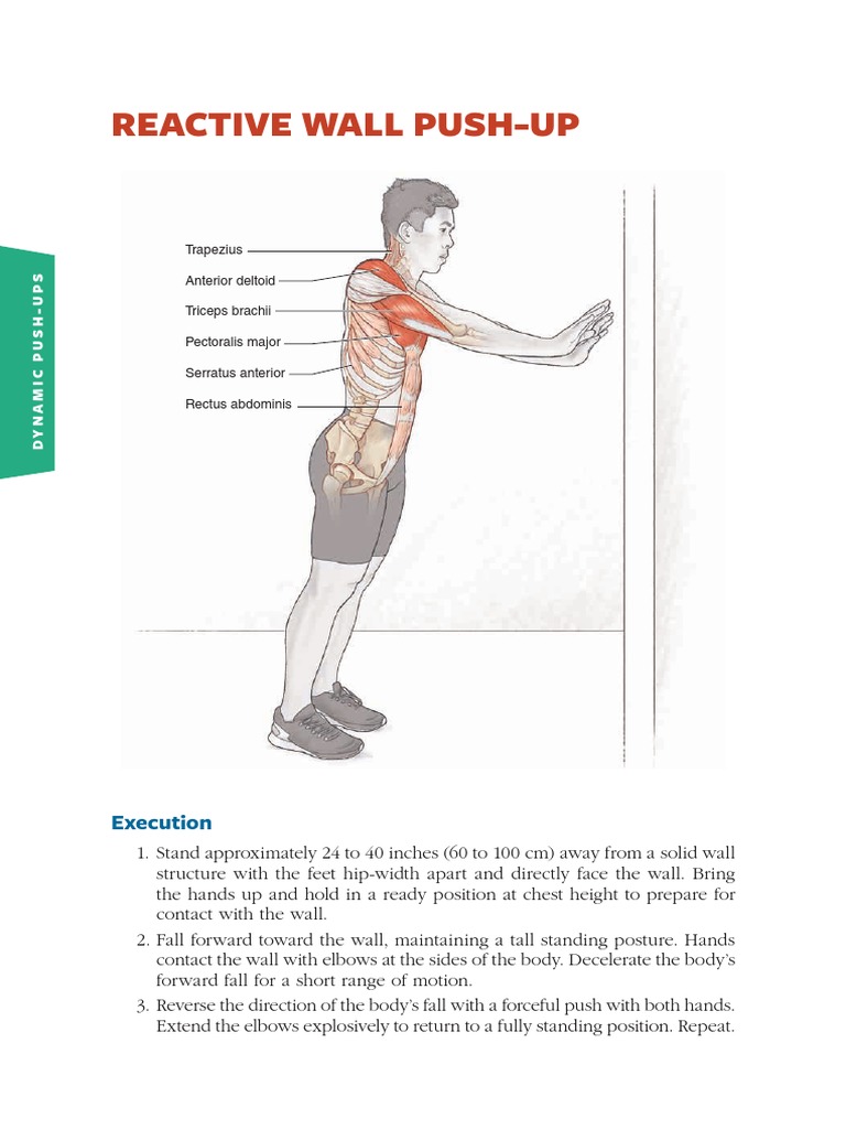 4 Upper Body Exercises | PDF | Human Anatomy | Joints