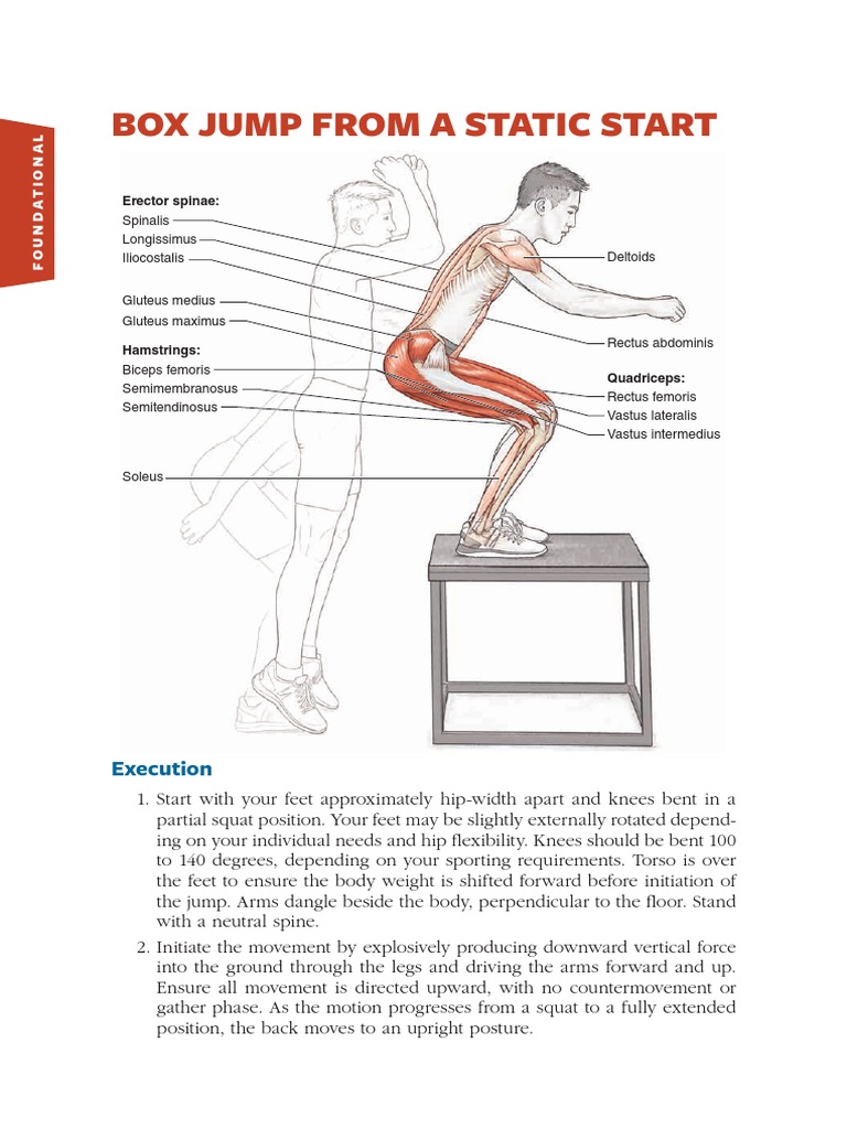 Box Jump From A Static Start: Execution | PDF | Human Leg | Foot