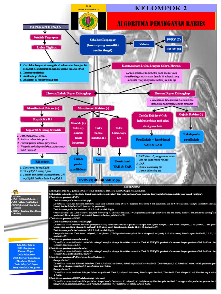 Algoritma Rabies | PDF