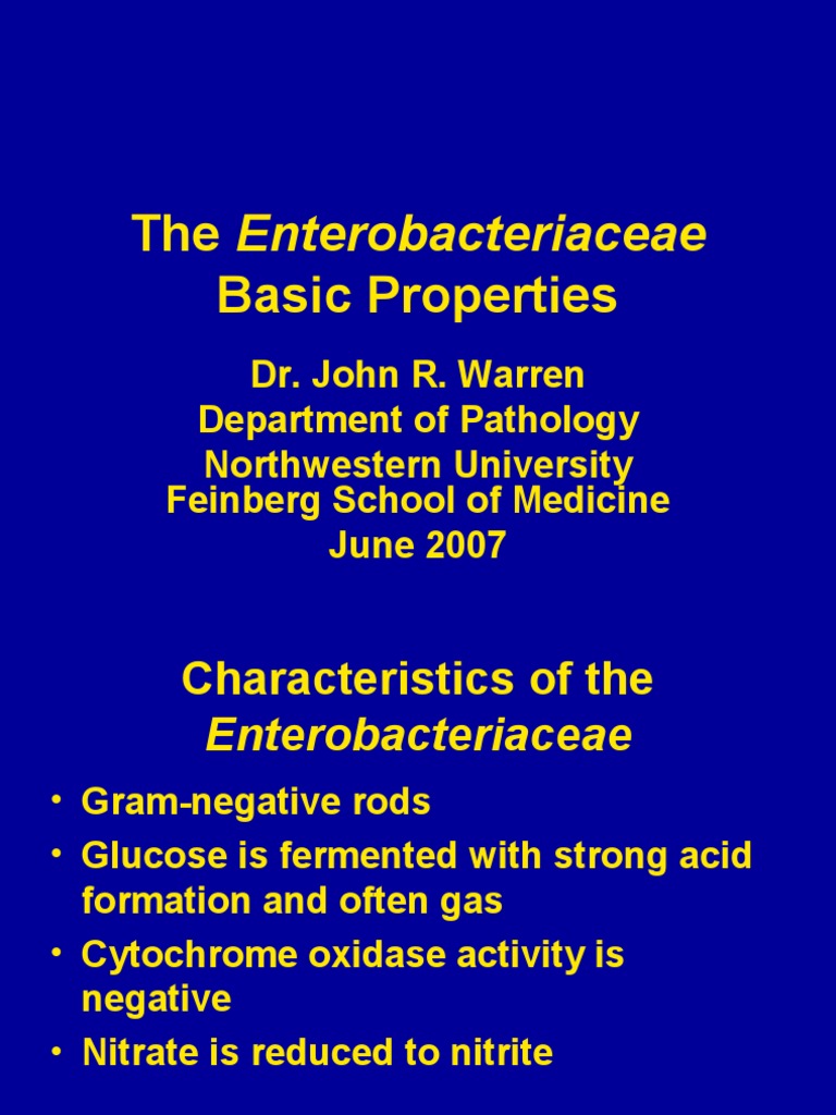 Enterobacteriaceae Gram Stain | PDF | Staining | Microbiology