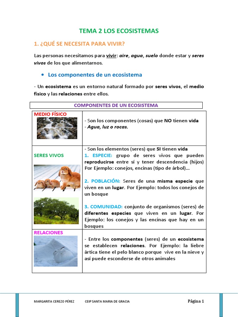 Ecosistemas: Tipos y Funciones Esenciales | PDF | Ecosistema | Mar