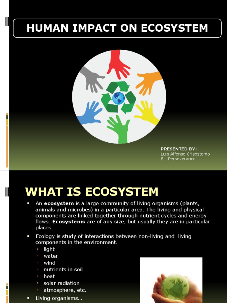 Human Impact on Ecosystems Explained | PDF | Ecosystem | Greenhouse Effect