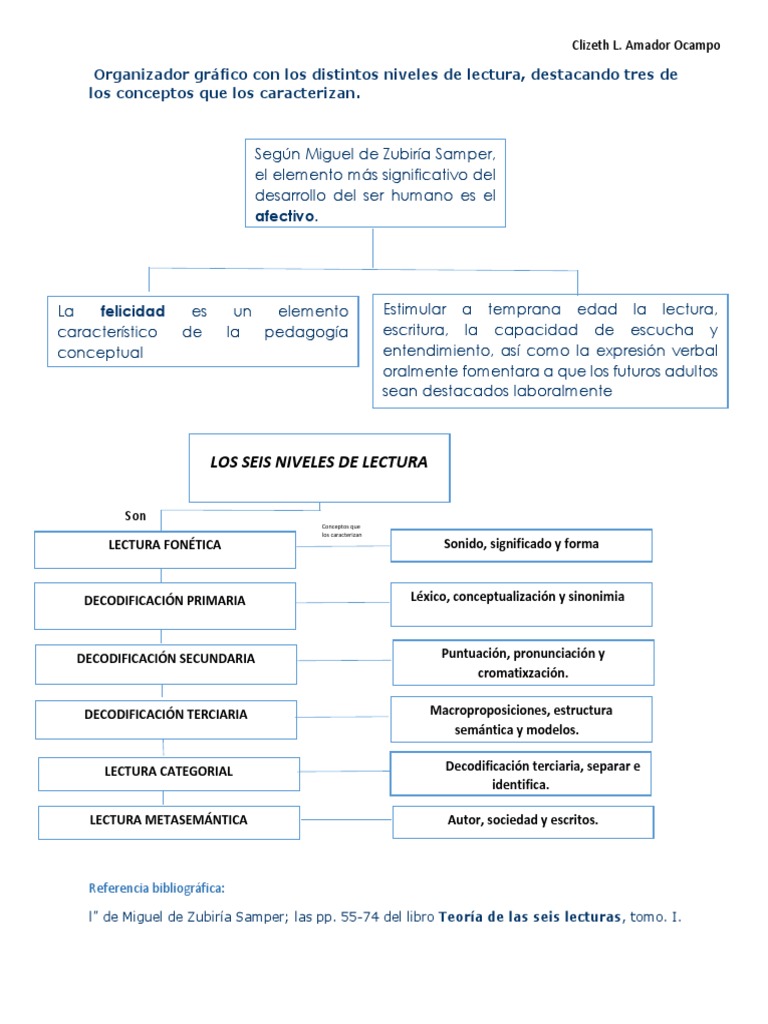 Organizador Grafico Los 6 Niveles de Lectura Clizeth L.a.o) | PDF