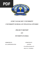 Poverty Economics Project | PDF | Poverty | Poverty & Homelessness