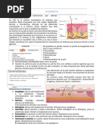 Facies Algicas | PDF | Anatomía humana | Especialidades Medicas