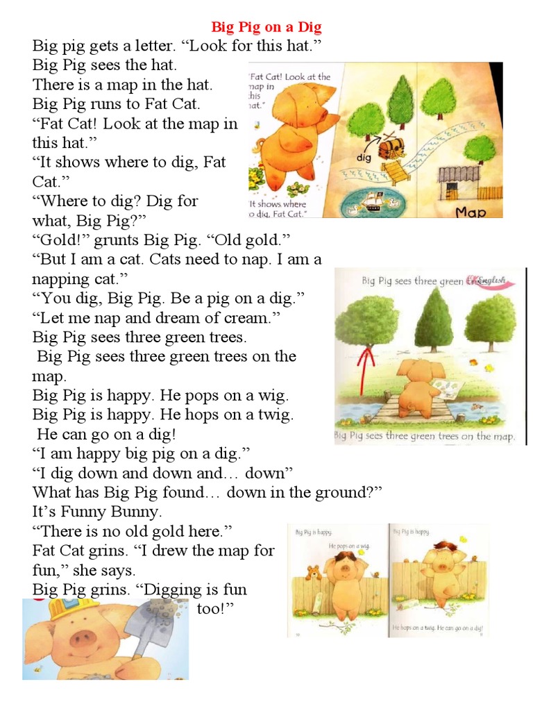 Big Pig On A Dig READING | PDF