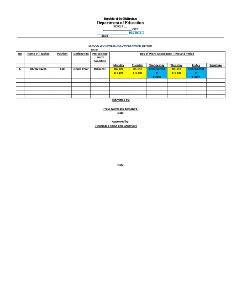 Individual Workweek Accomplishment Plan. Conso | PDF