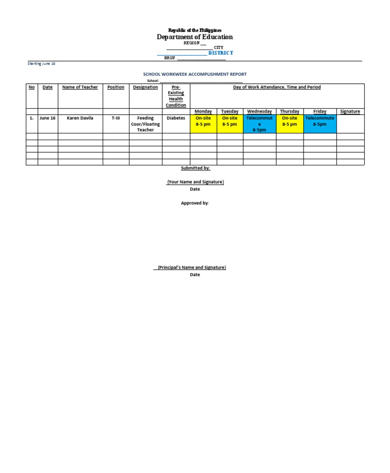 Individual Workweek Accomplishment Plan.3 Day On Site