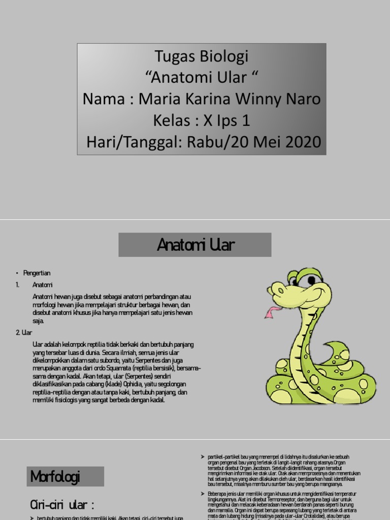 Anatomi dan Morfologi Ular | PDF