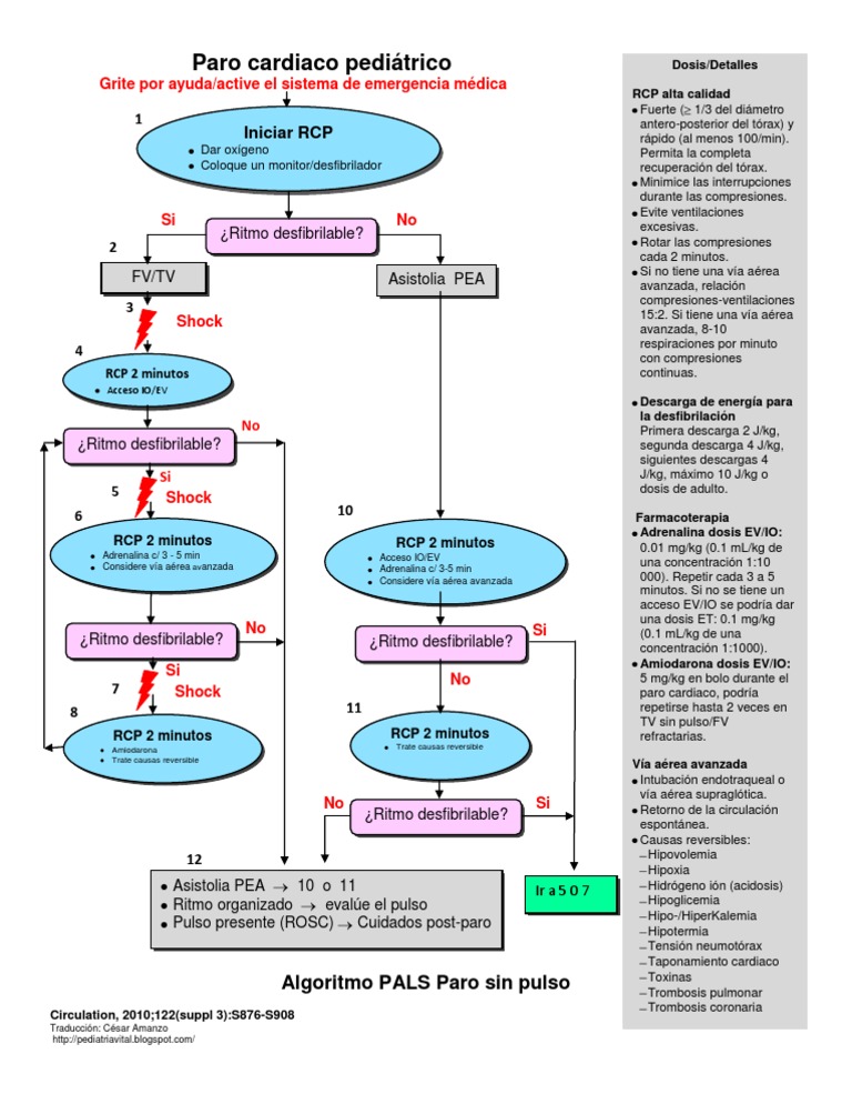 Algoritmo Paro Sin Pulso Pediatria_2010 | Reanimación cardiopulmonar ...