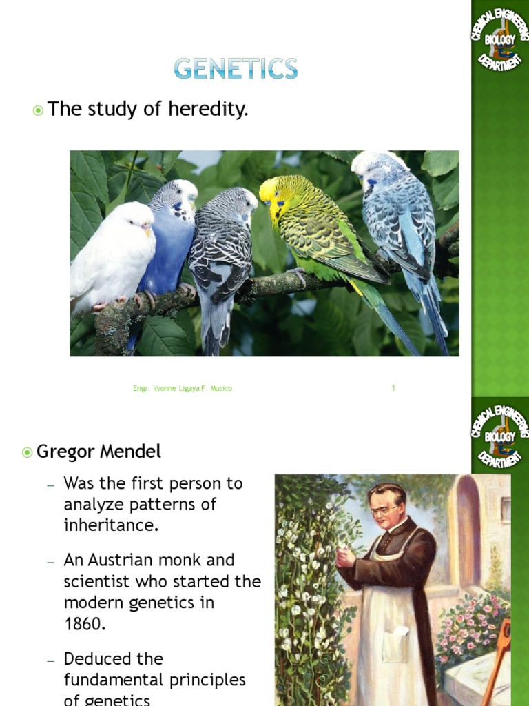 Gregor Mendel and the Foundations of Genetics: An Analysis of Mendel's ... Gregor Mendel and the Foundations of Genetics: An Analysis of Mendel's ...