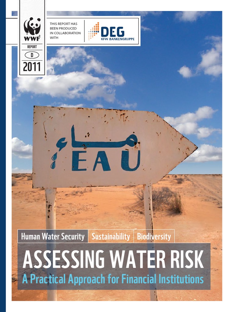 Deg WWF Water Risk Final | PDF | Water Scarcity | Risk