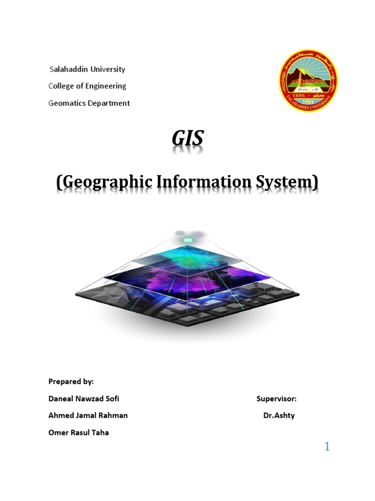 GIS Raport | PDF | Geographic Information System | Geomatics