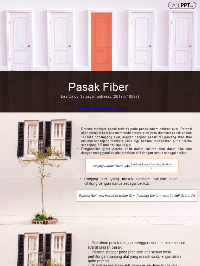 Pasak Fiber | PDF