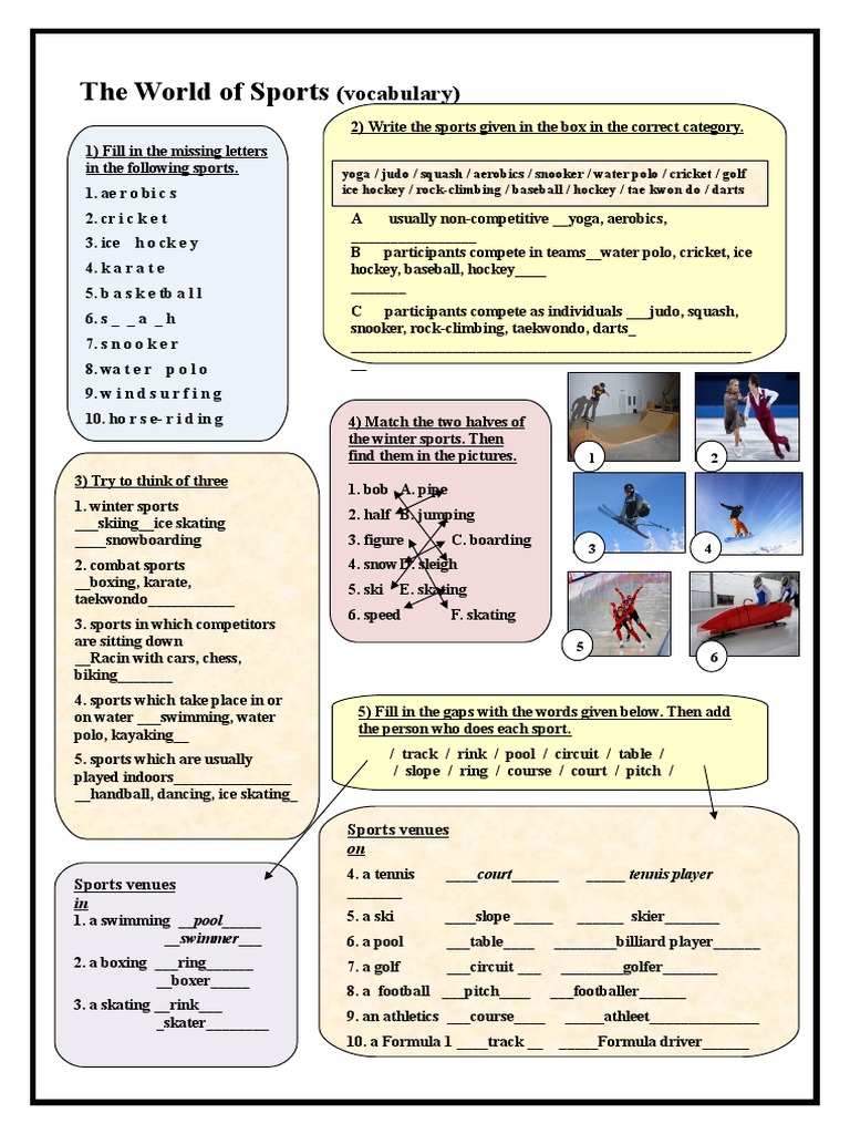 Sports Vocabulary Exercises for ESL | PDF | Sports | Leisure