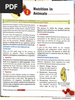 Science Class 7 Dav Book | PDF