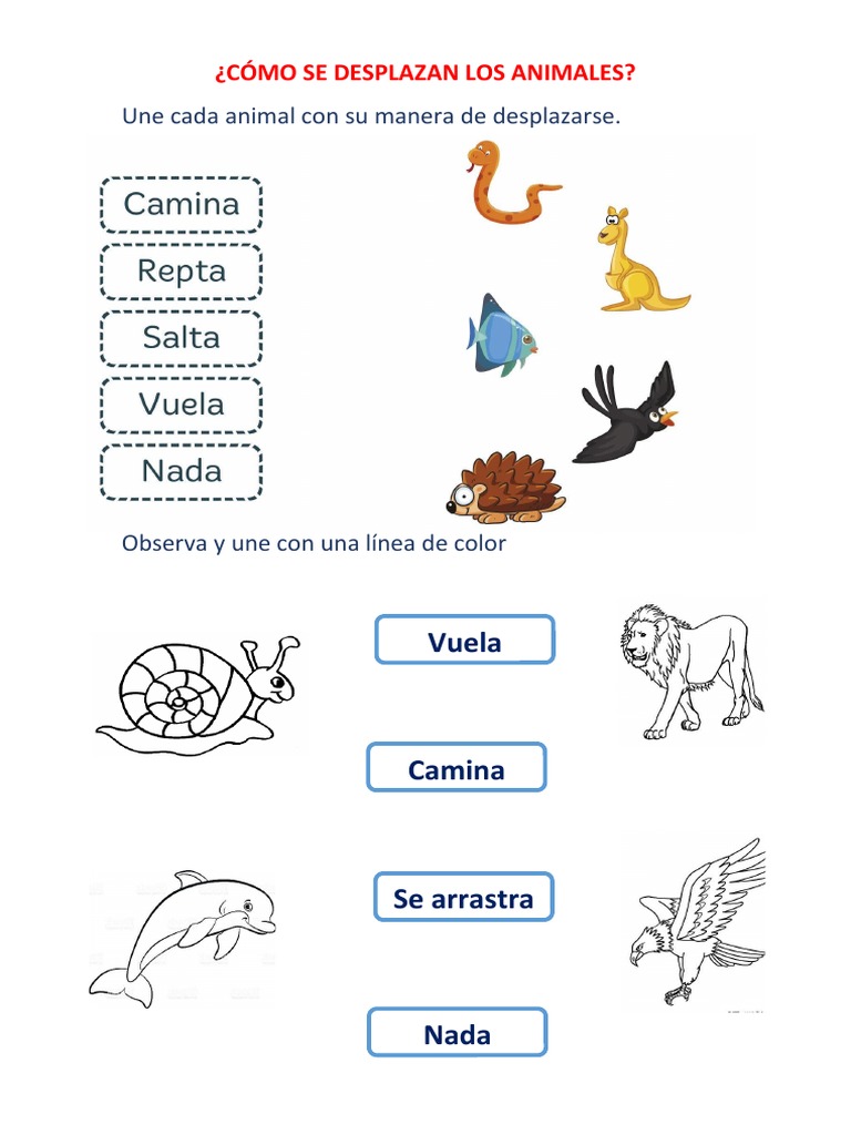 Desplazamiento de Animales para Niños | PDF