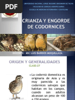 Producción y características de la gallina de guinea | PDF | Pollo | La ...